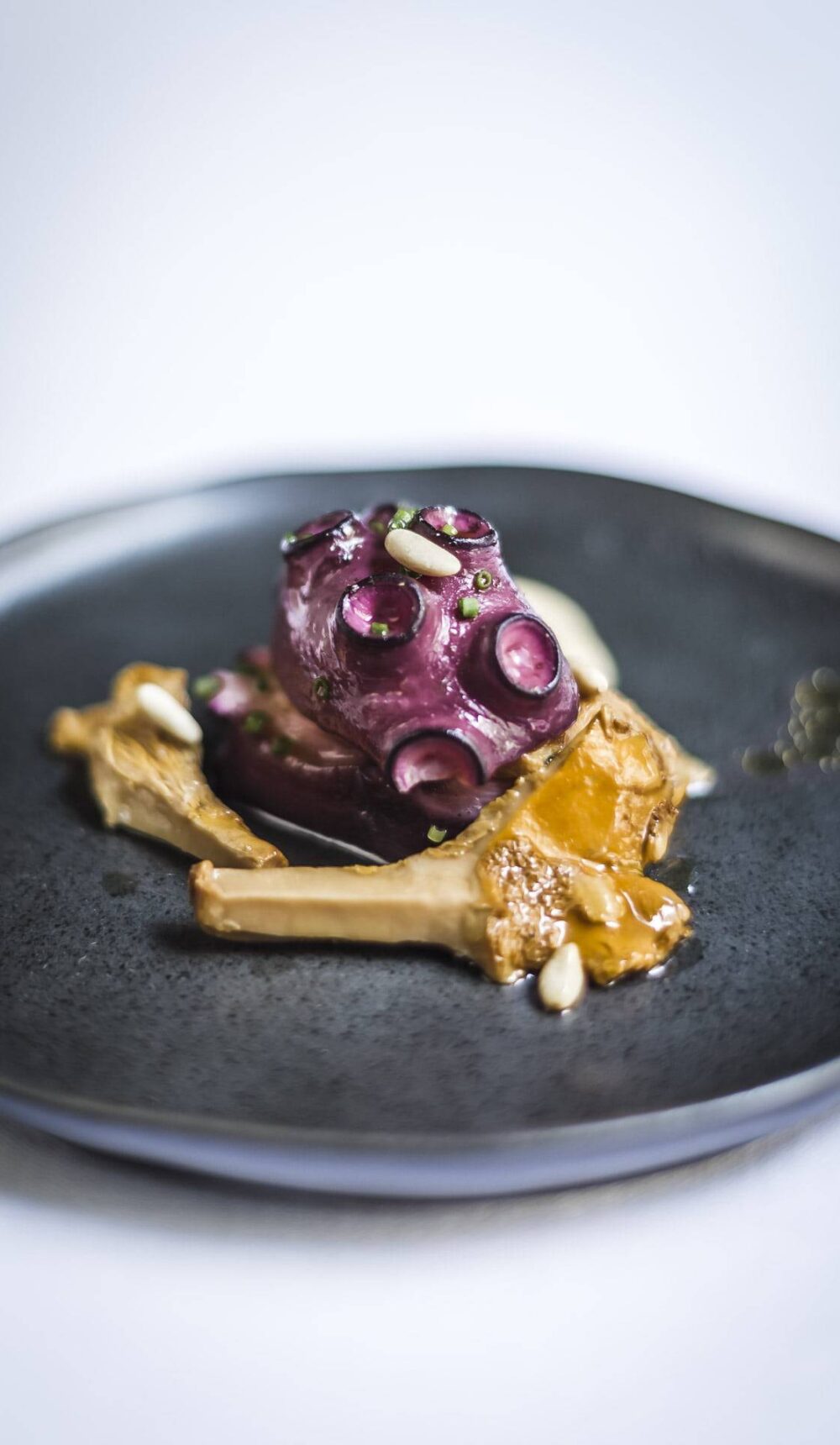 Restaurante de cocina de autor en Valencia - Restaurante Apicius